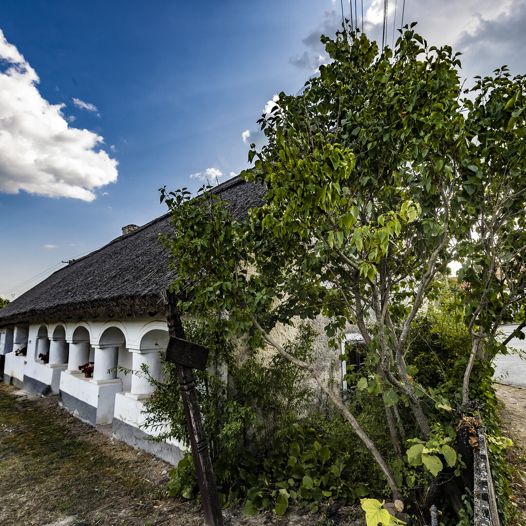 Bakony-Balaton Értékek Napja Zánka